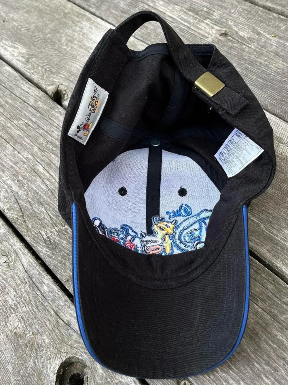 Disney | Accessories | Walt Disney World Embroidered Baseball Hat ...